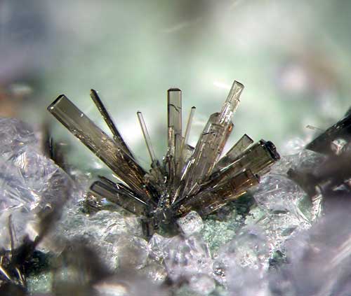 The Magic of Micro- Minerals