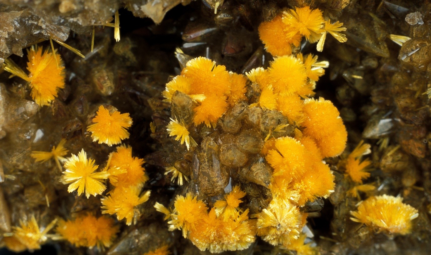 The Magic of Micro- Minerals